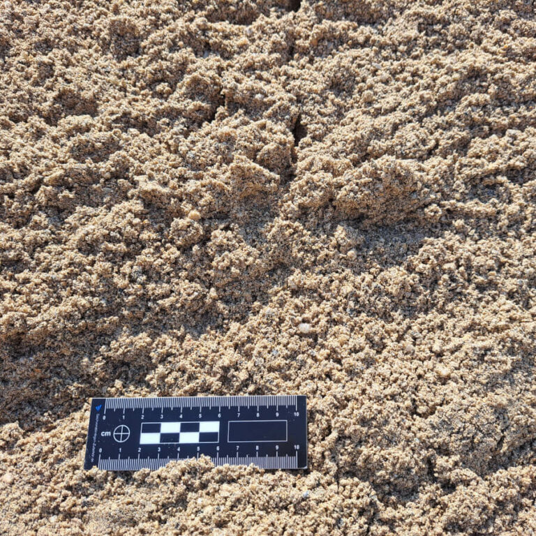 Vente et livraison de sable en vrac à domicile